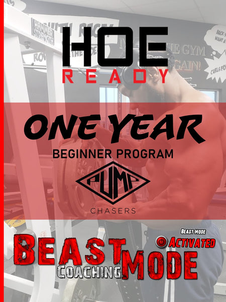 One Year Upper/Lower Beginner Program (with form tutorial vids ...